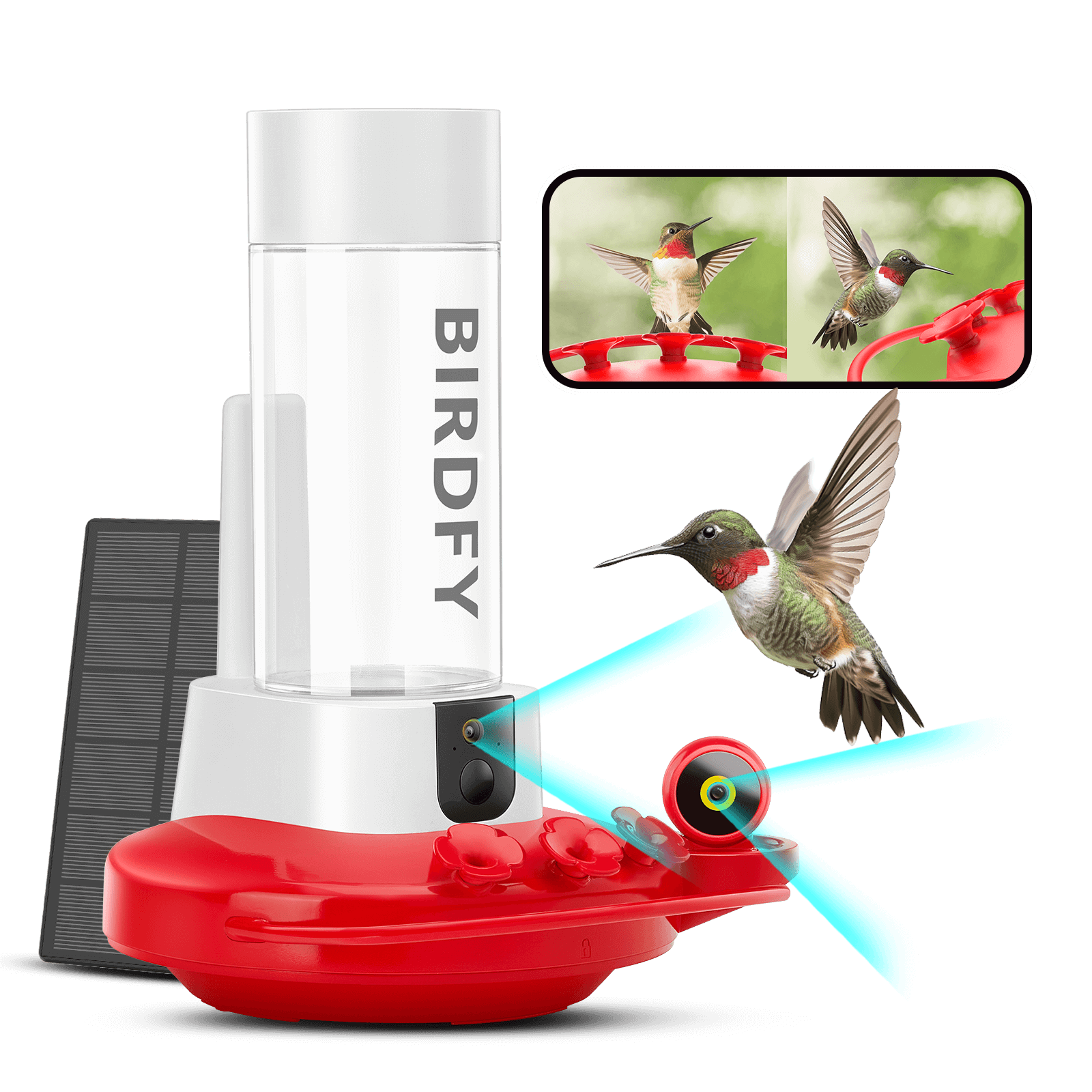 Birdfy Hum Feeder Duo - Hummingbird Feeder with Dual Camera
