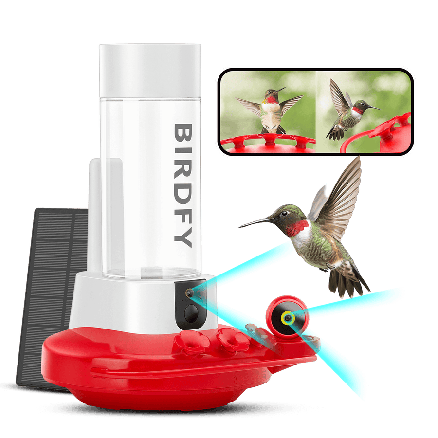 Birdfy Hum Feeder Duo - Hummingbird Feeder with Dual Camera