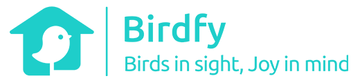 What You need to Know about Bird Wings – Birdfy