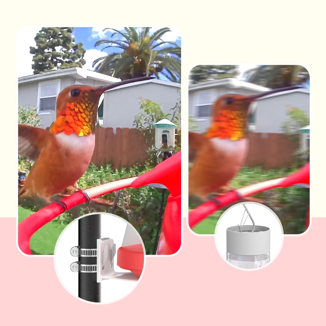 Birdfy Hum Mounting Kit