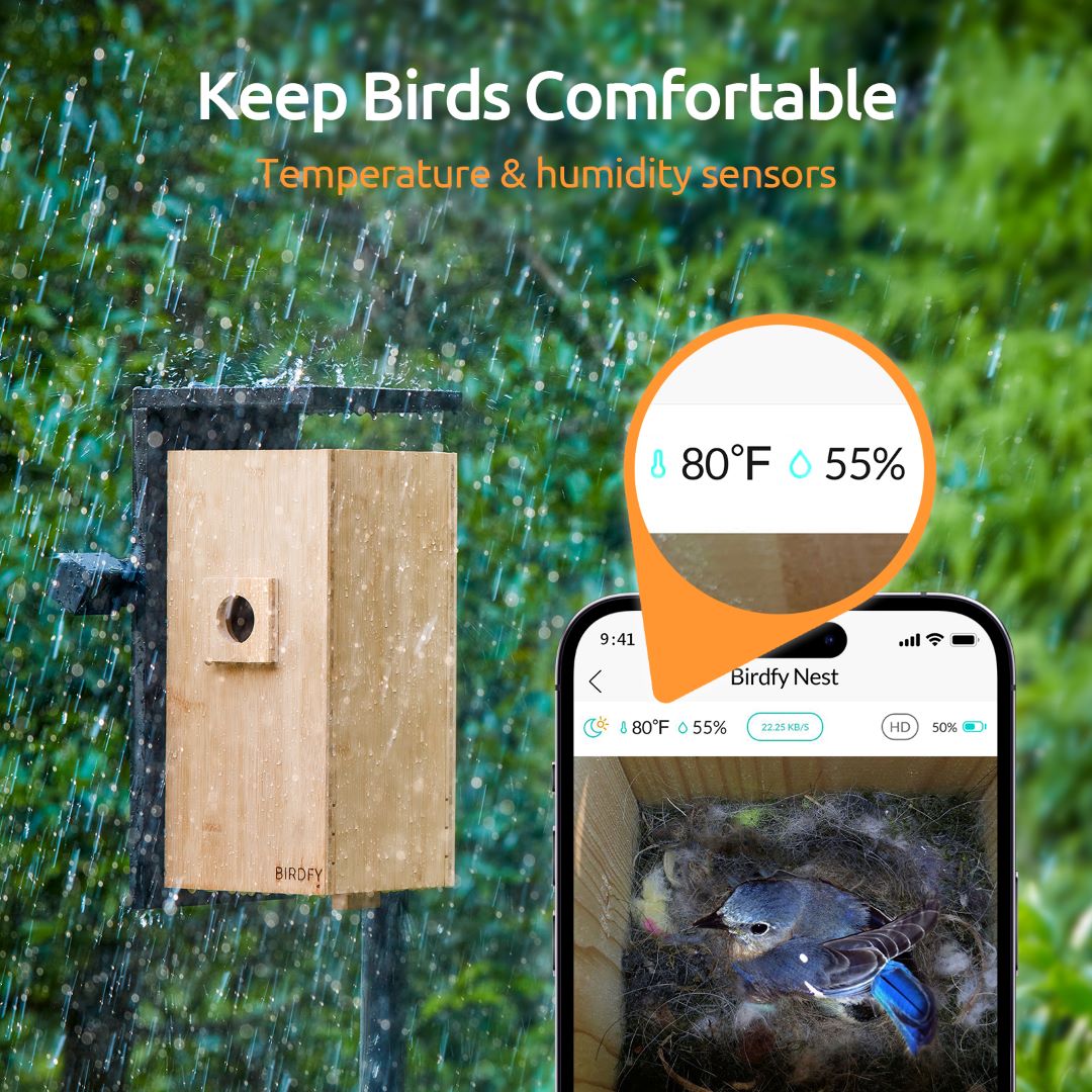 Birdfy Nest - Smart Bird House with Dual Cameras