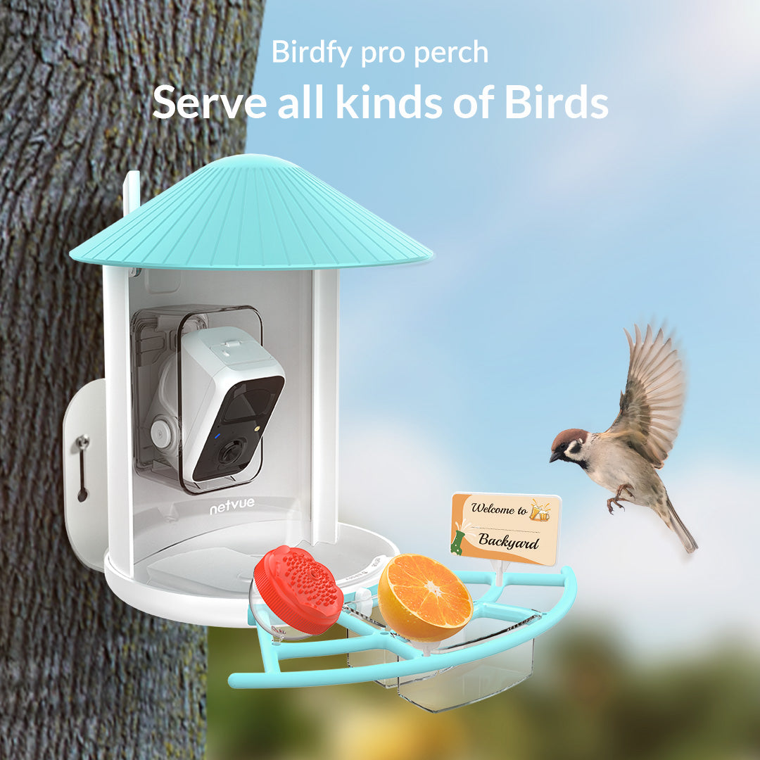 Birdfy Pro Perch Extension - DIY Bird Feeder Station