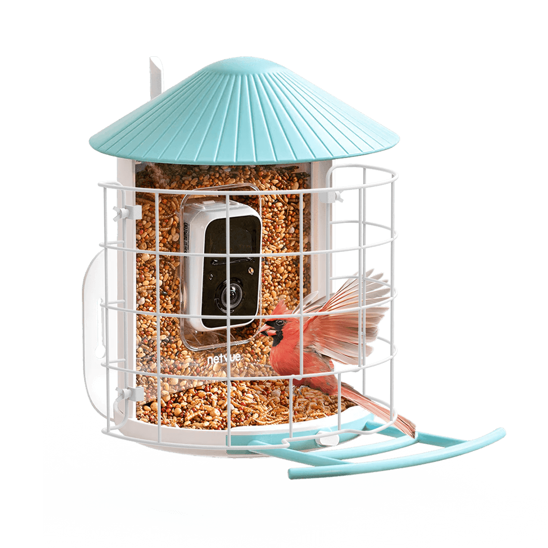 Birdfy Nest Polygon - Smart Birdhouse with Camera