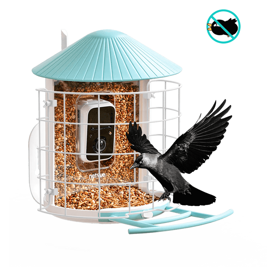 Birdfy Shield - Bird Feeder Shield