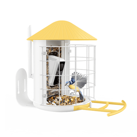 Birdfy Shield - Bird Feeder Shield