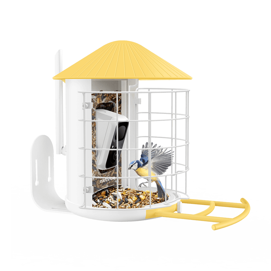 Birdfy Shield - Bird Feeder Shield