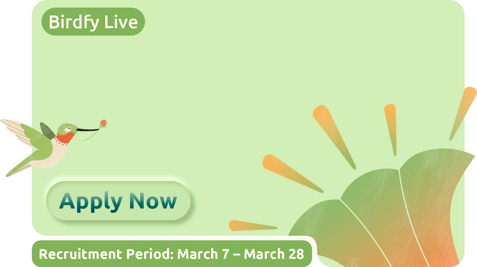 Birdfy Live
