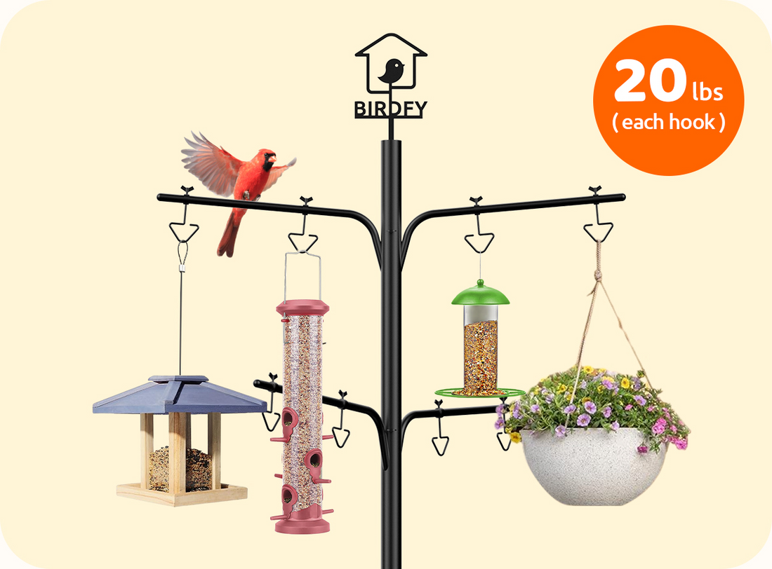 Birdfy Feeder Pole