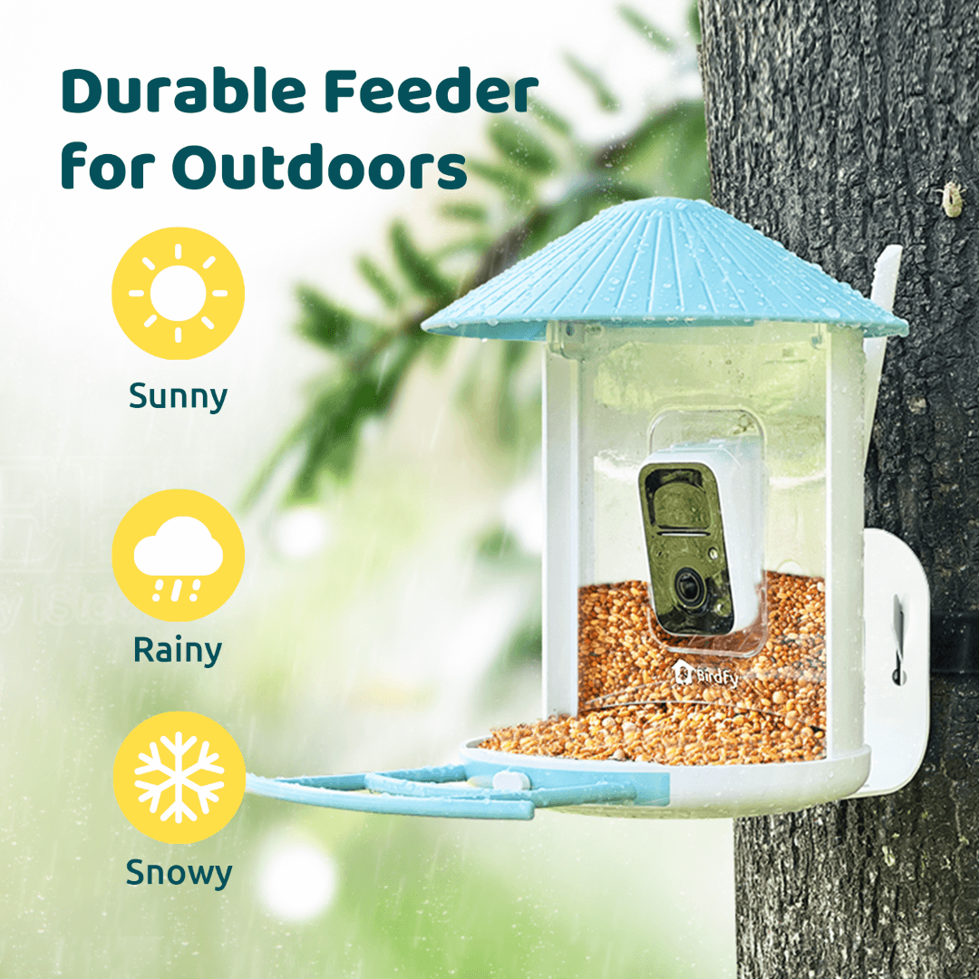 Birdfy Feeder with Solar Panel - Smart & Eco-Friendly