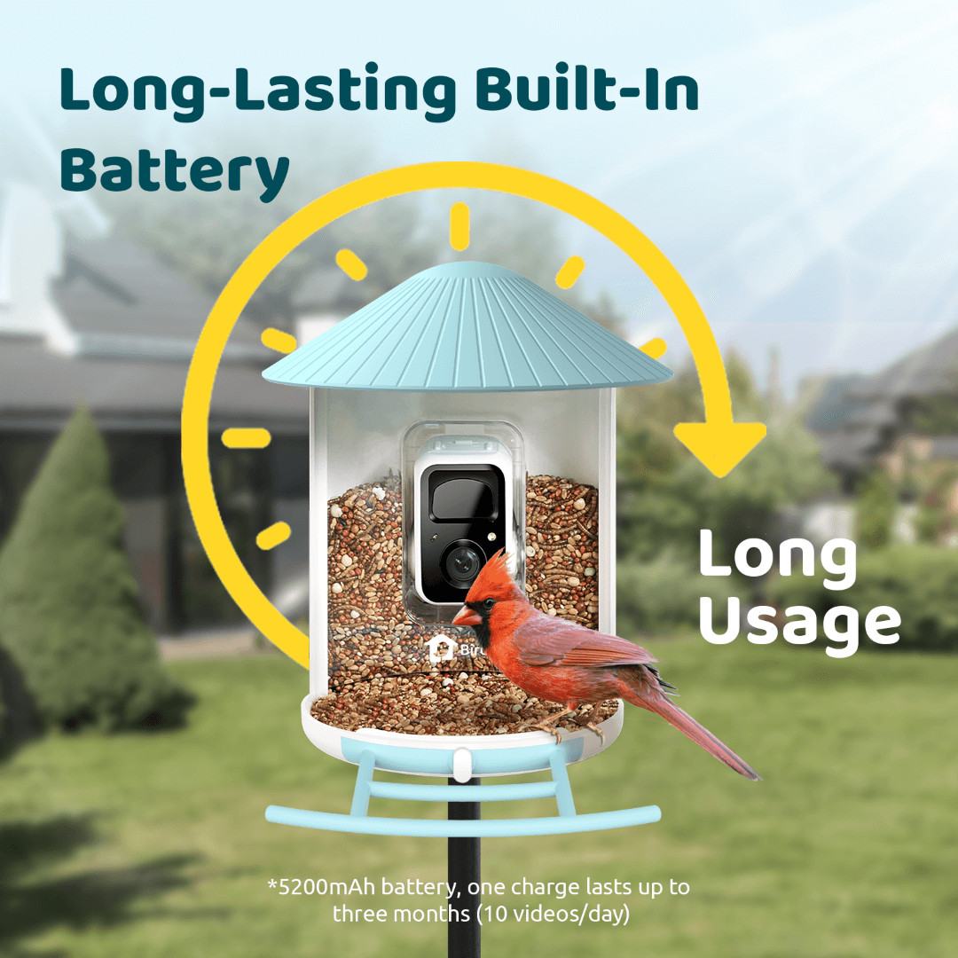 Birdfy Feeder with Solar Panel - Smart & Eco-Friendly