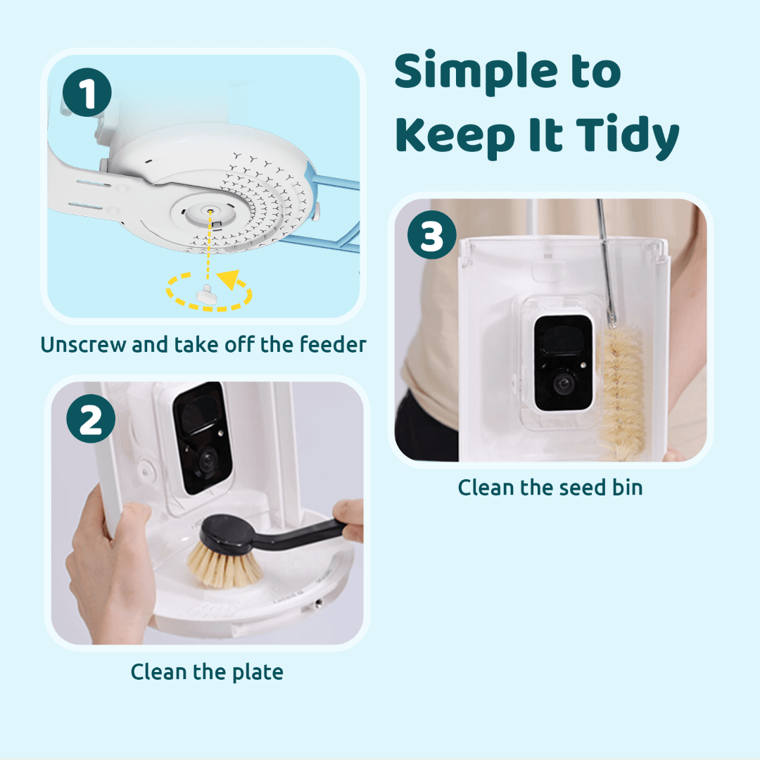 Birdfy Feeder with Solar Panel - Smart & Eco-Friendly