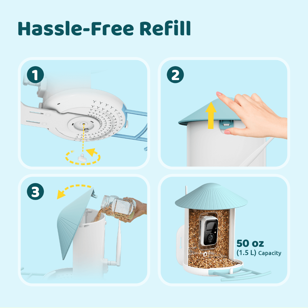 Birdfy Feeder with Solar Panel - Smart & Eco-Friendly