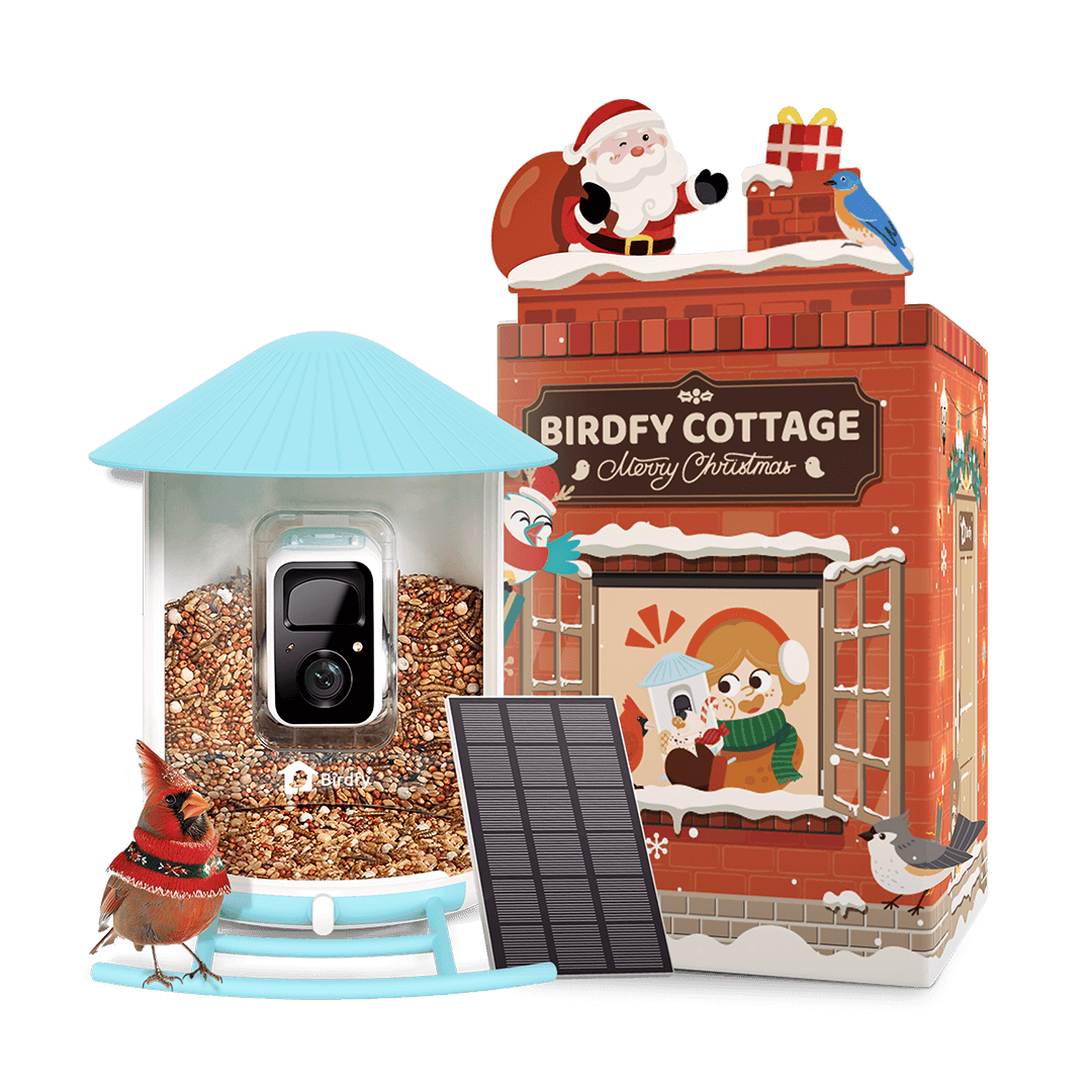 Birdfy Feeder with Solar Panel - Smart & Eco-Friendly
