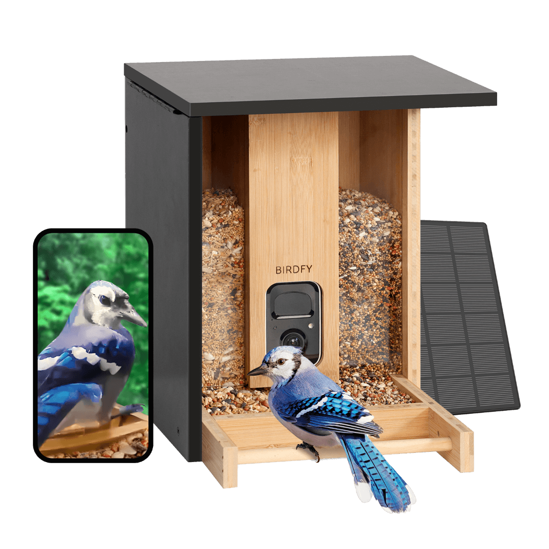 Birdfy Feeder 2 - Smart Bird Feeder