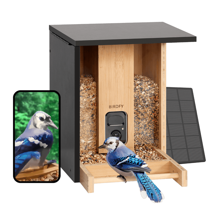 Bird Feeder Camera with Portrait & Wide-angle Camera - Birdfy Feeder 2 Pro