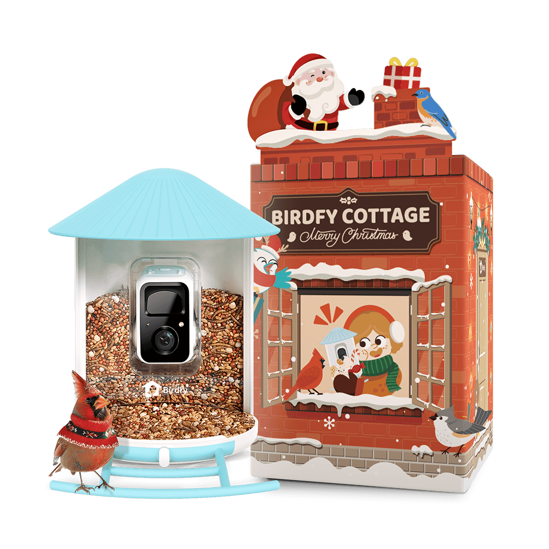 User Manual – Birdfy