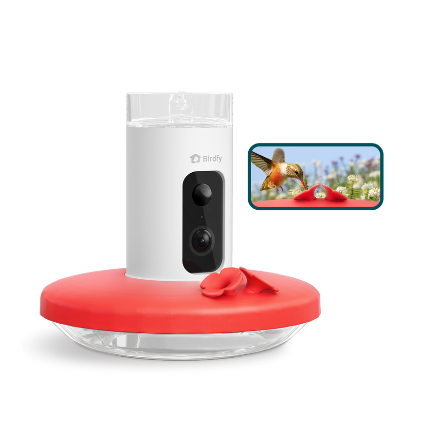 Bird Feeder Camera with Portrait & Wide-angle Camera - Birdfy Feeder 2 Pro