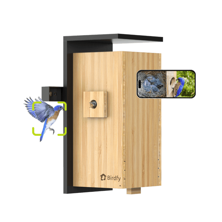 Birdfy Feeder Bamboo - Smart Bird Feeder with Eco-friendly Material
