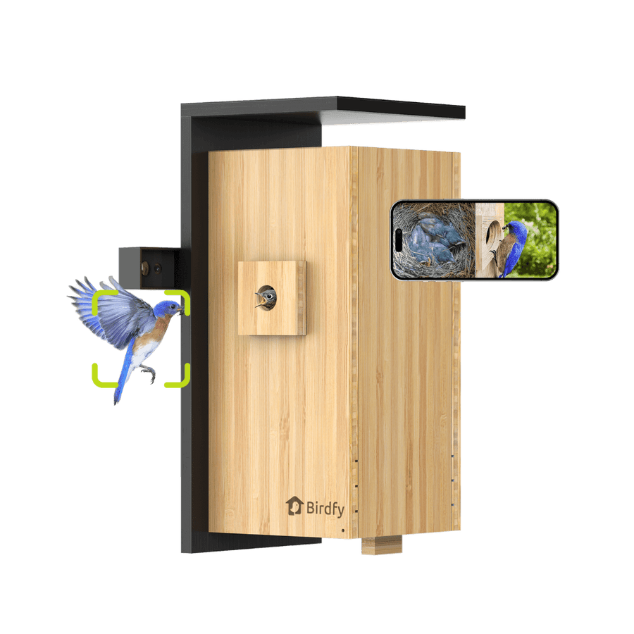 Birdfy Feeder Bamboo - Smart Bird Feeder with Eco-friendly Material