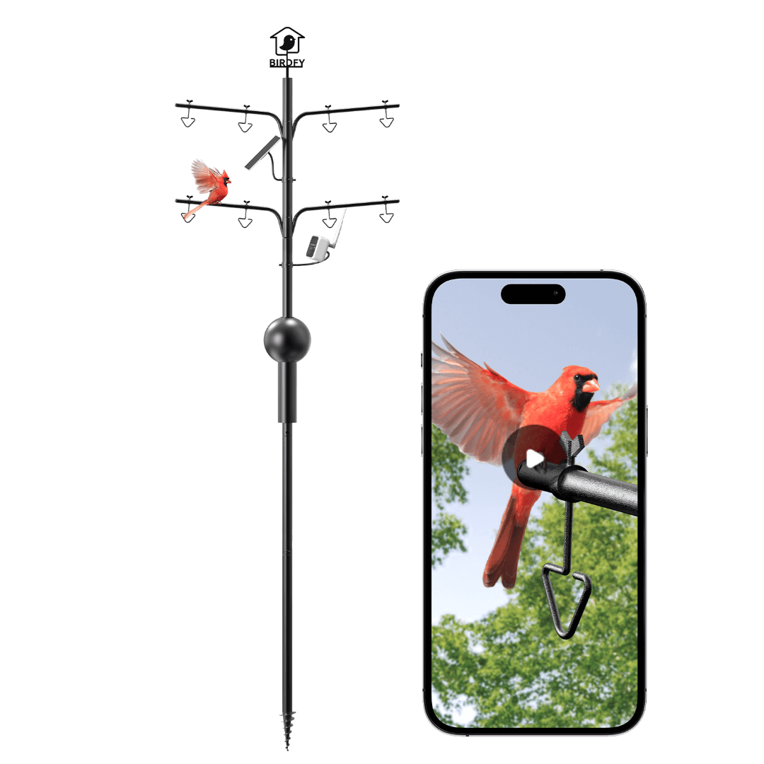 Birdfy Feeder Pole
