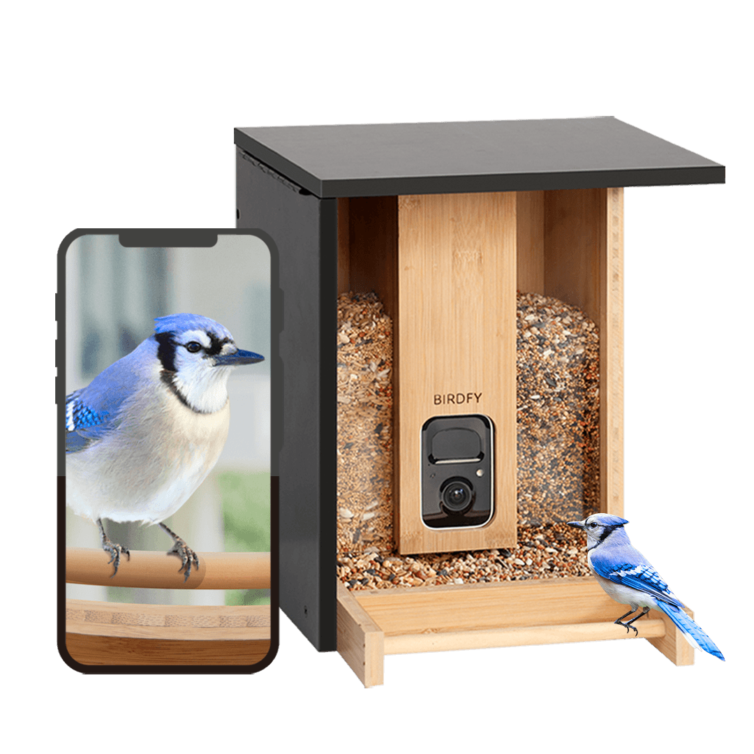 Birdfy Feeder Bamboo - Upgrade Smart Bird Feeder with Eco-friendly Mat