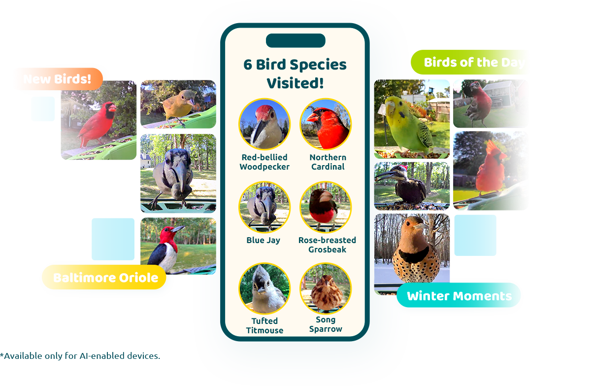 Birdfy Feeder 2 - Smart Bird Feeder