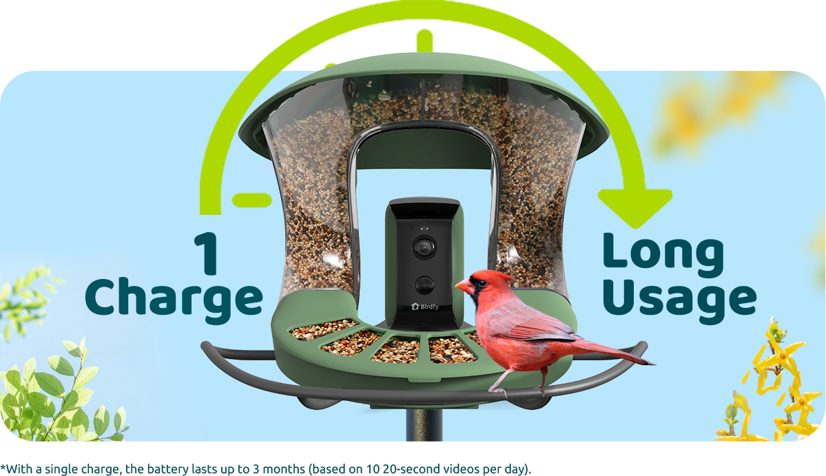 Birdfy Feeder 2 - Smart Bird Feeder