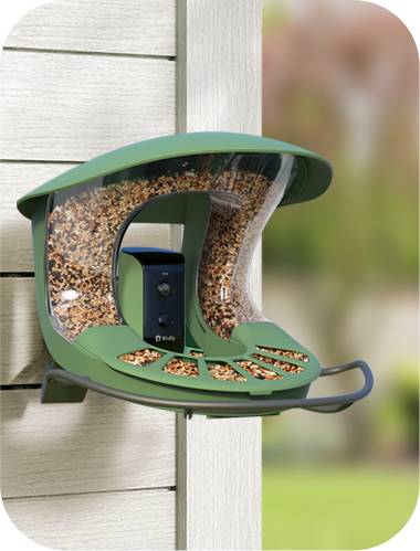 Birdfy Feeder 2 - Smart Bird Feeder