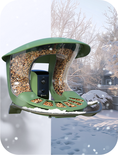 Birdfy Feeder 2 - Smart Bird Feeder