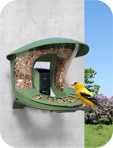 Birdfy Feeder 2 - Smart Bird Feeder