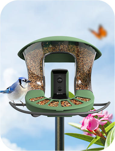 Birdfy Feeder 2 - Smart Bird Feeder