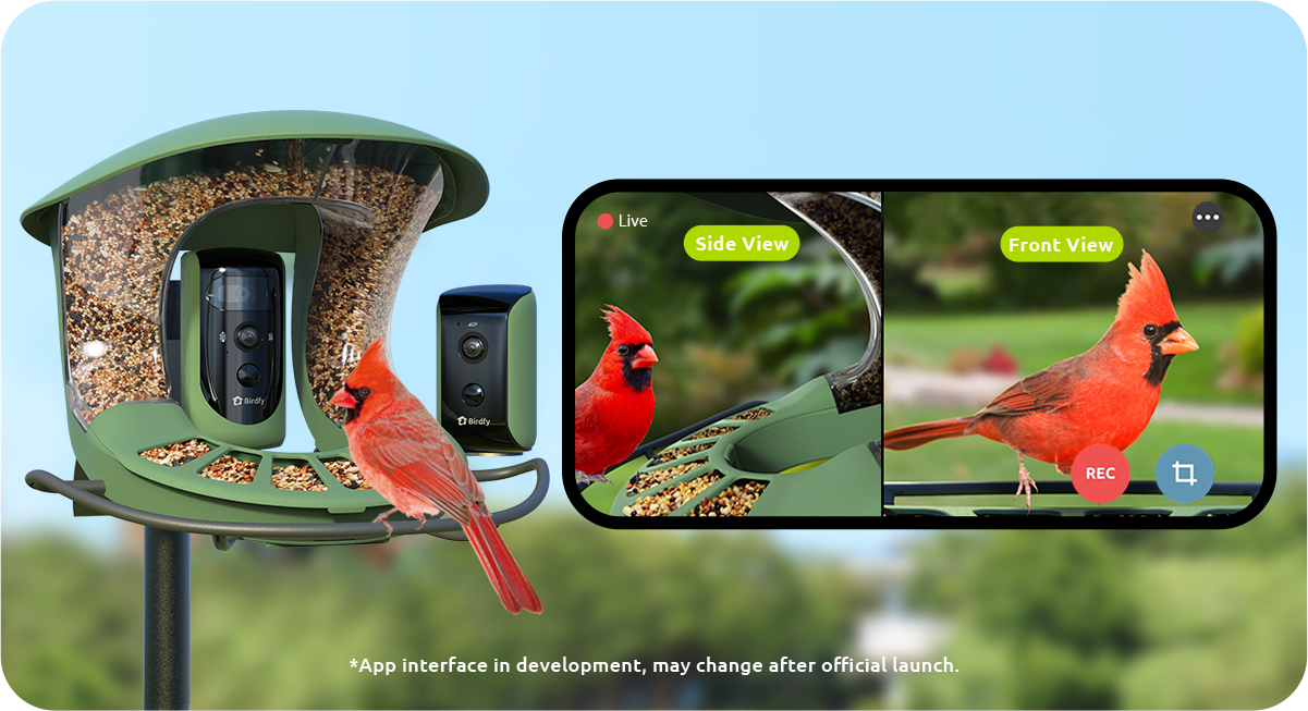 Birdfy Feeder 2 Duo - Bird Feeder with Camera