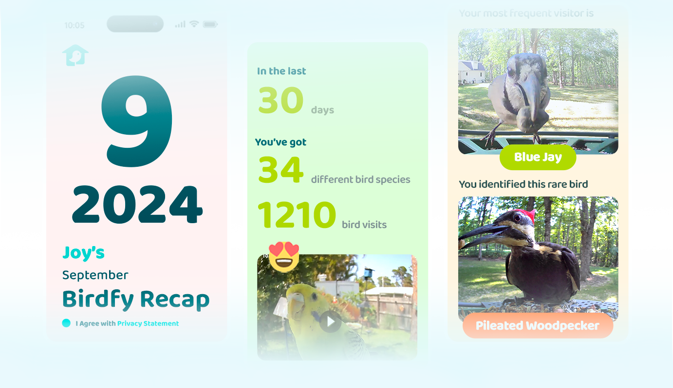 Birdfy Feeder 2 - Smart Bird Feeder