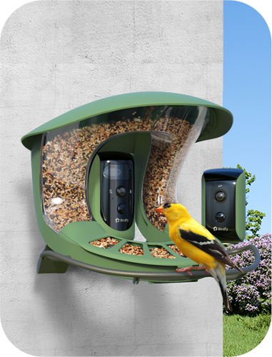 Birdfy Feeder 2 Duo - Bird Feeder with Camera