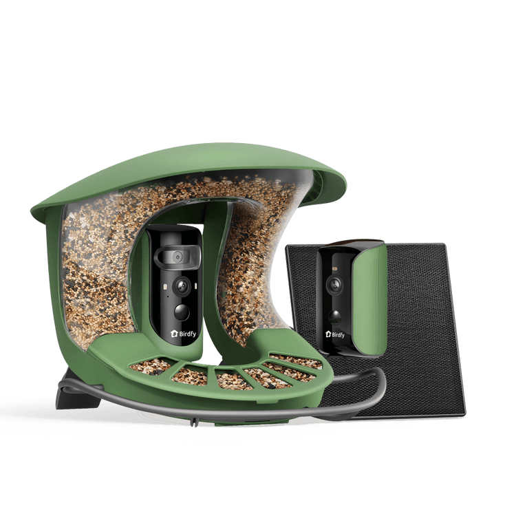 Birdfy Feeder 2 Duo - Triple-Lens Smart Bird Feeder with Cameras