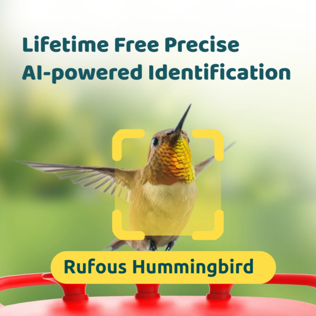 Birdfy Hum Feeder Duo - Hummingbird Feeder with Dual Camera