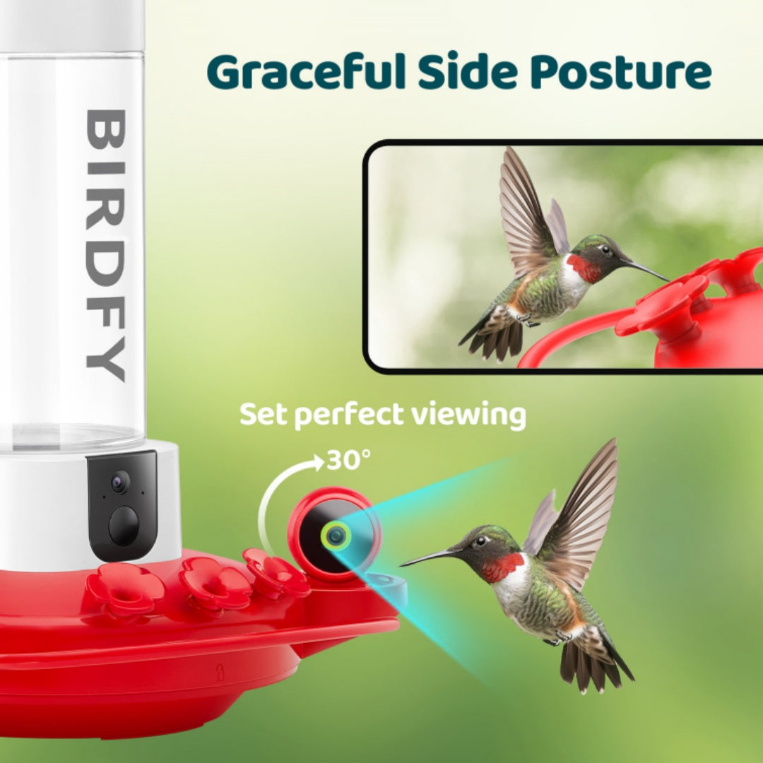 Birdfy Hum Feeder Duo - Hummingbird Feeder with Dual Camera