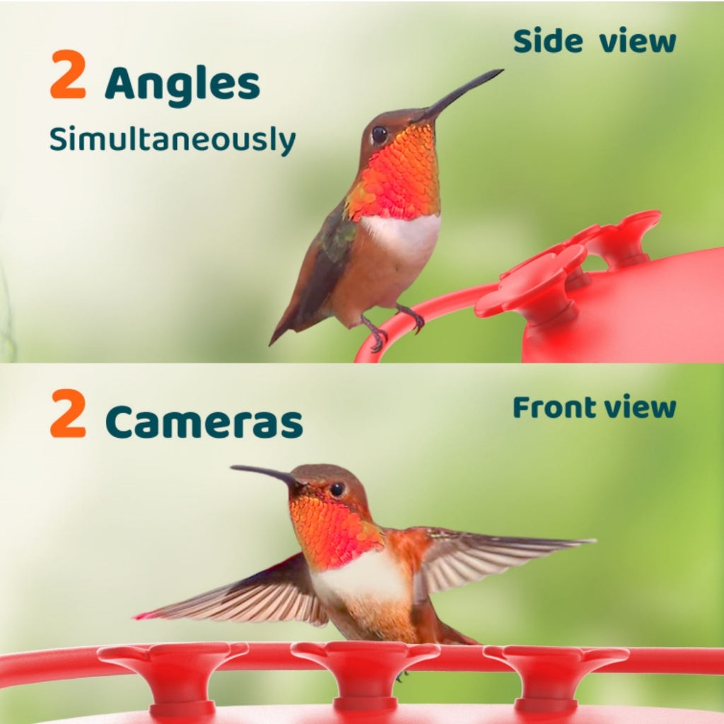 Birdfy Hum Feeder - Hummingbird Feeder with Dual Camera