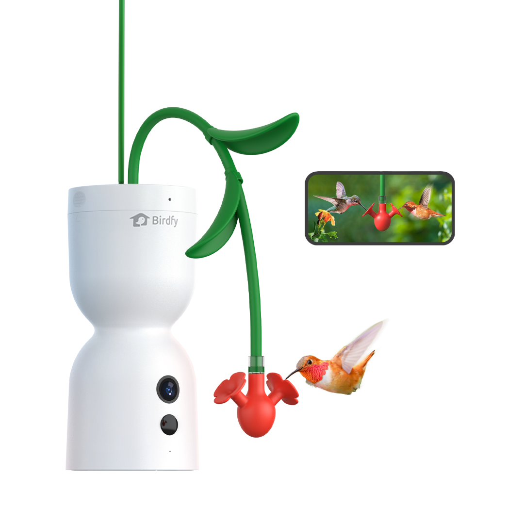 Birdfy Hum Feeder Duo - Hummingbird Feeder with Dual Camera