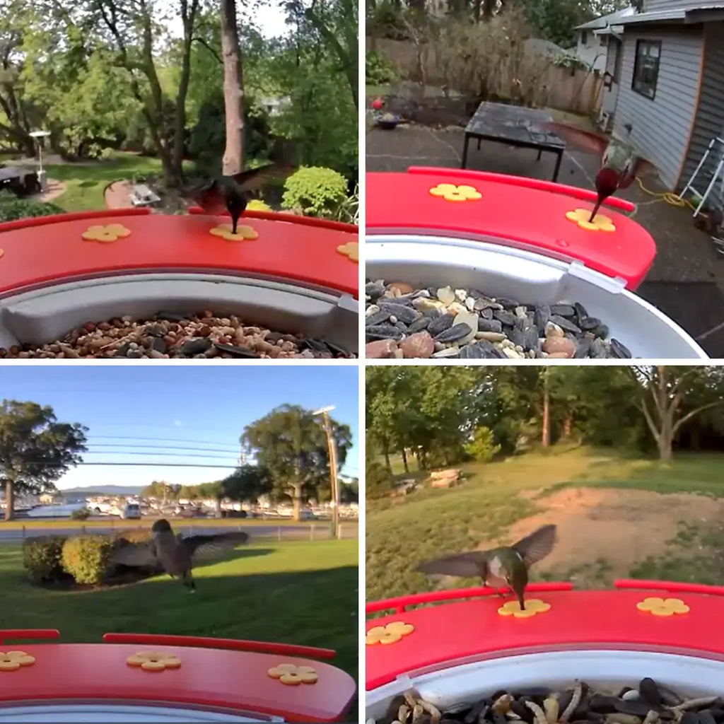 Birdfy Hummee Extension - Hummingbird Feeder DIY Accessory