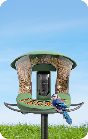 Birdfy Official Site - Birds in Sight, Joy in Mind -Bird Feeder Camera