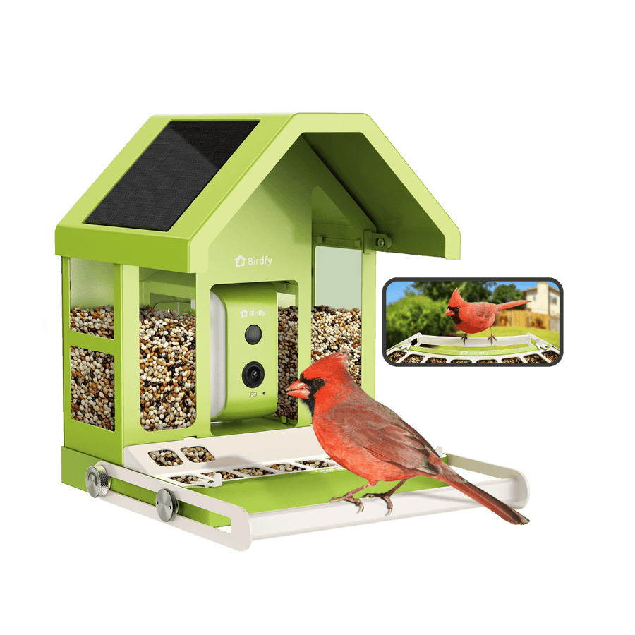 Birdfy Feeder 2 Duo - Bird Feeder with Camera
