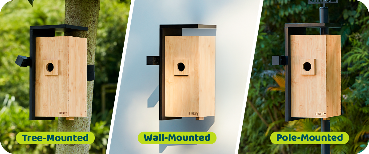 Birdfy Nest - Smart Bird House with Dual Cameras
