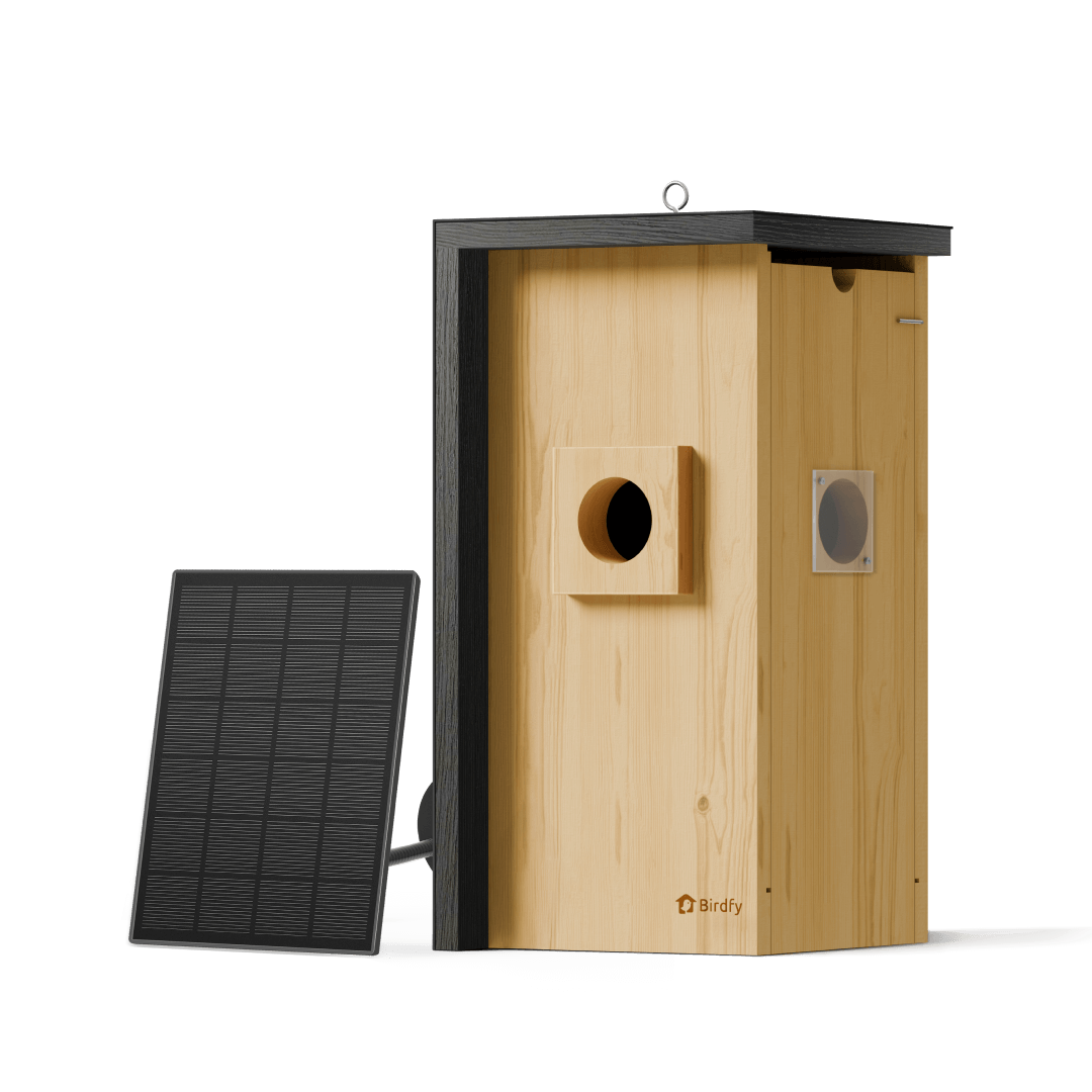 Birdfy Nest Polygon - Smart Birdhouse with Camera