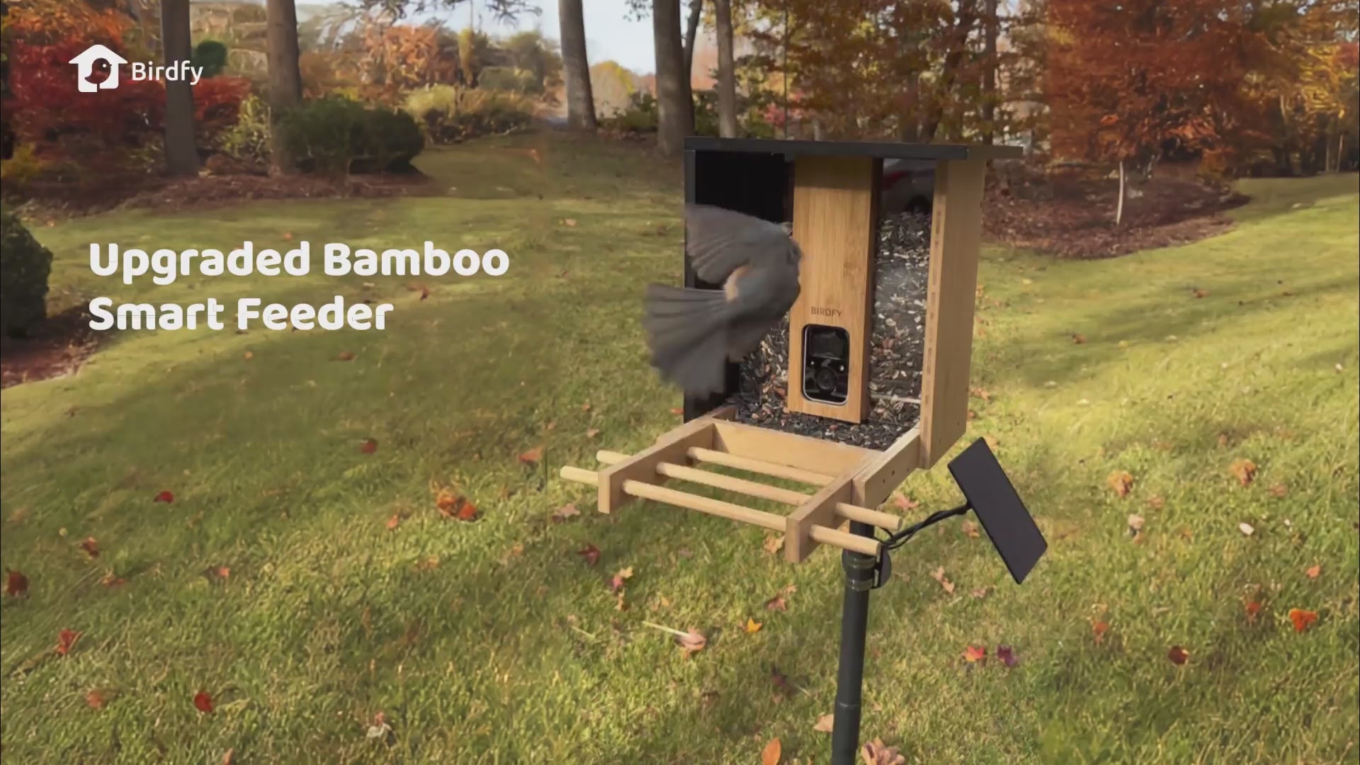 Birdfy Feeder Bamboo - Smart Bird Feeder with Eco-friendly Material