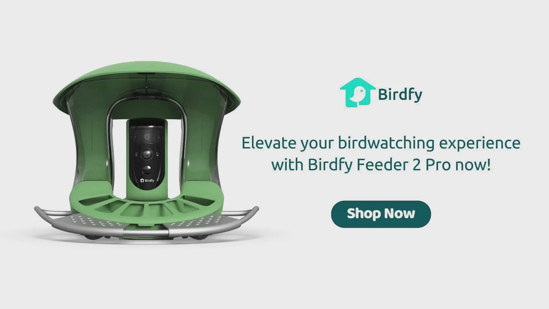 Bird Feeder Camera with Portrait & Wide-angle Camera - Birdfy Feeder 2 Pro