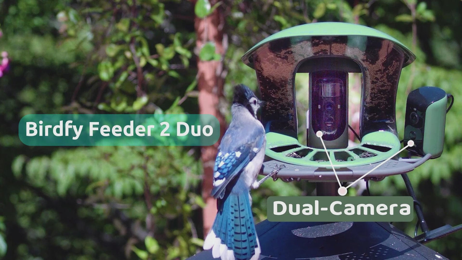 Birdfy Feeder 2 Duo - Bird Feeder with Camera