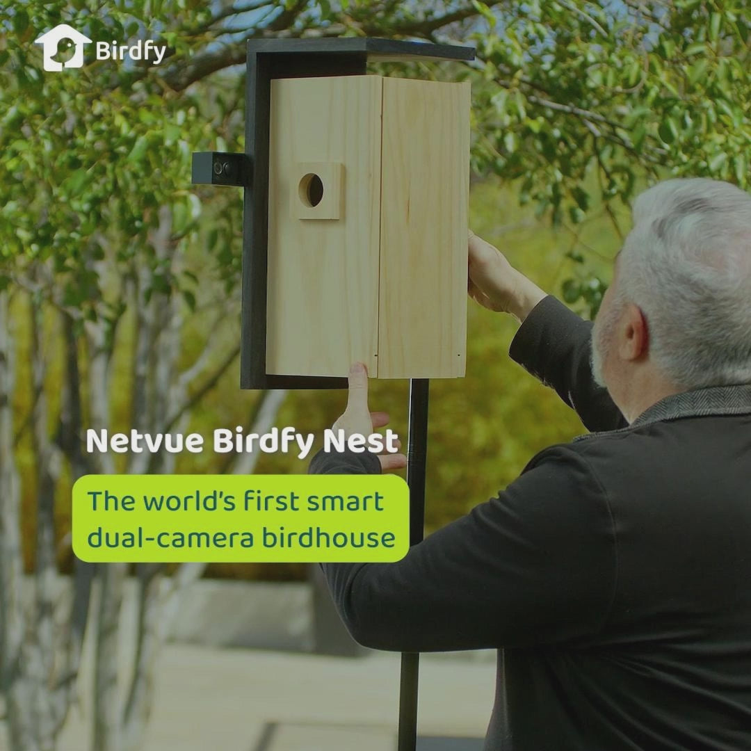 Birdfy Nest - Smart Bird House with Dual Cameras