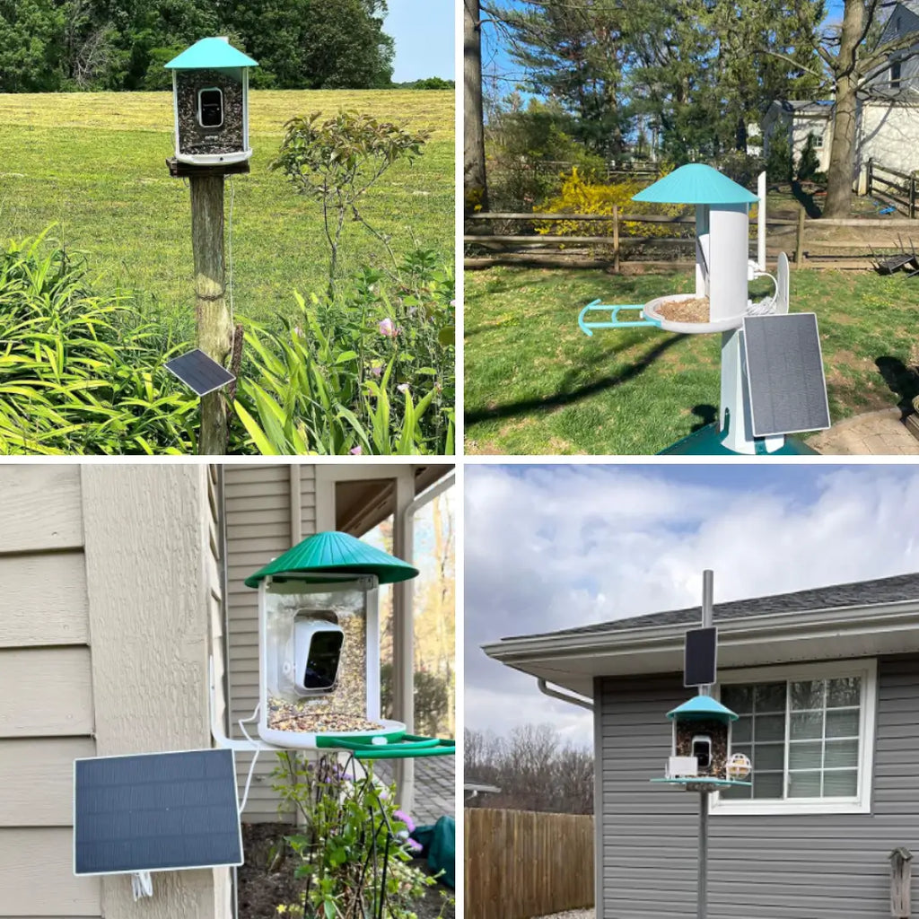 Birdfy Feeder with Solar Panel - Smart & Eco-Friendly